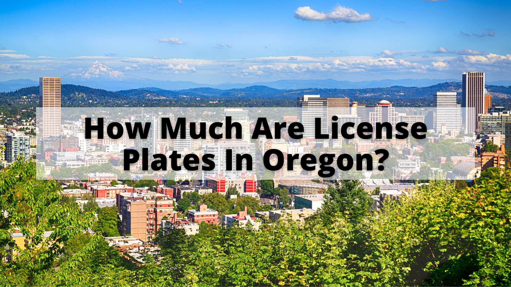 How Much Are License Plates In Oregon 