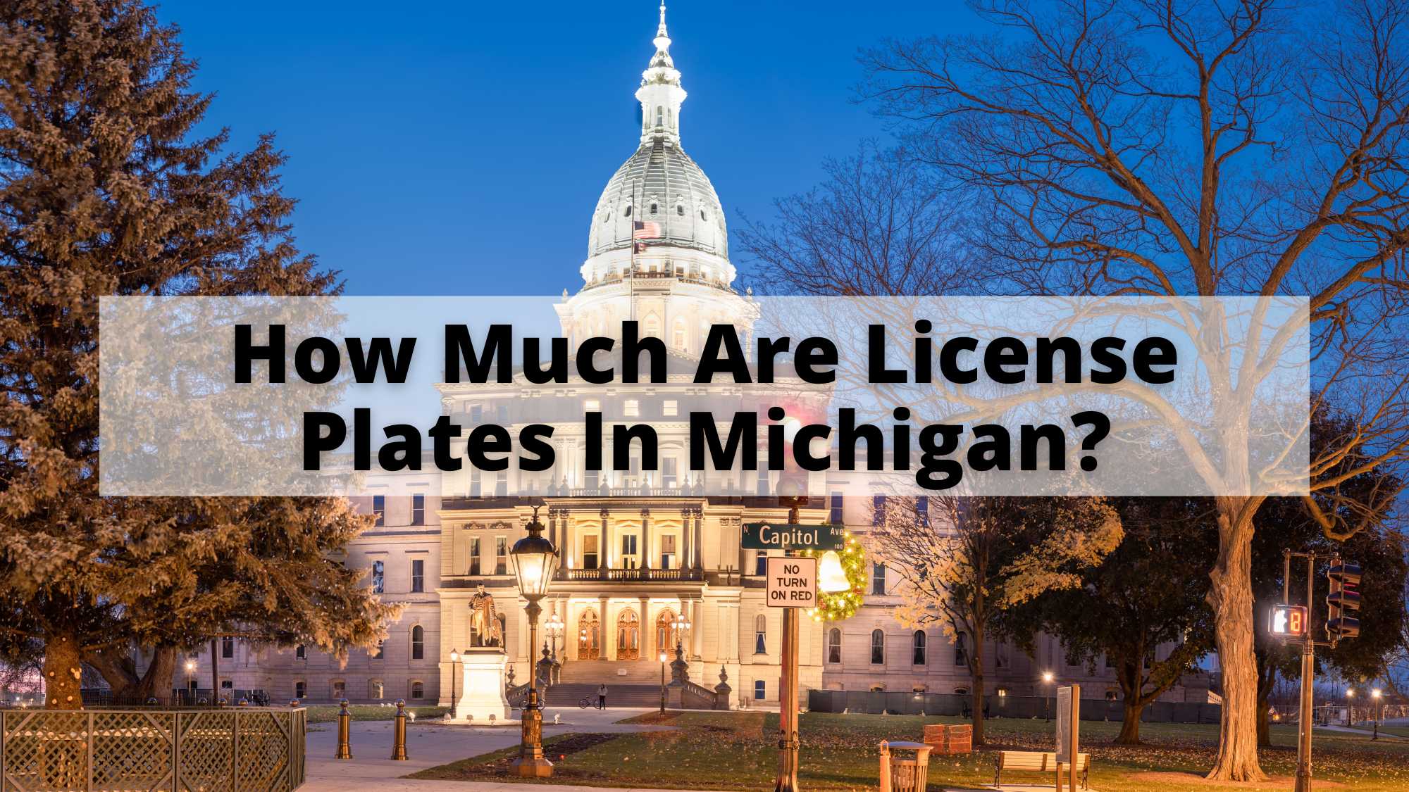 How Much Are License Plates In Michigan 