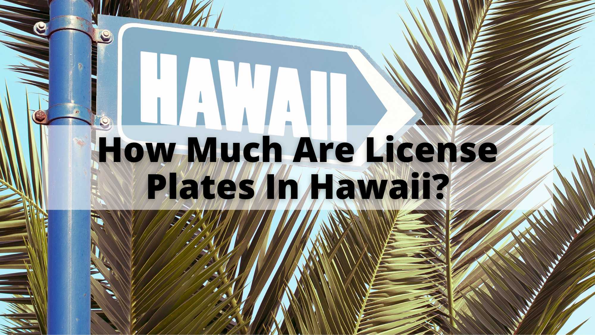 How Much Are License Plates In Hawaii 